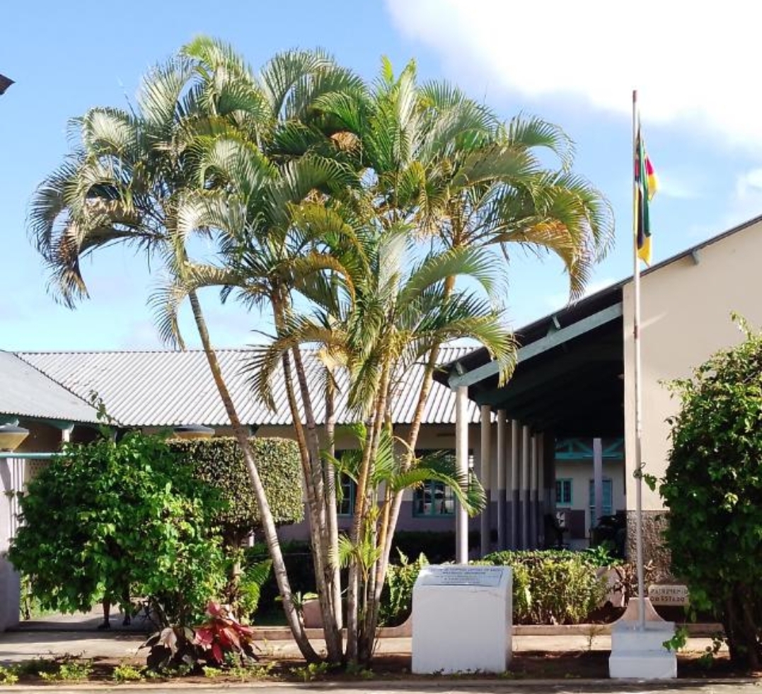 INSTITUTO DE CIÊNCIAS DE SAÚDE DE MASSINGA